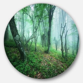 Designart 'Trail Through Green Forest' Landscape Photo Circle Wall Art ...
