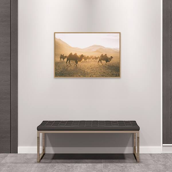 Camels on the Move by Aledanda Framed Canvas Wall Art Print - Bed Bath ...