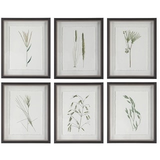 Uttermost Forest Finds Framed Prints, S/6 - 18 W x 22 H x 1.75 D ...