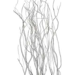 3-4ft Curly Willow, Natural, Pack of 8 Stems - 45 - Bed Bath & Beyond ...
