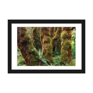 iCanvas "Mossy Big-Leaf Maples, Hoh Rainforest, Olympic National Park ...