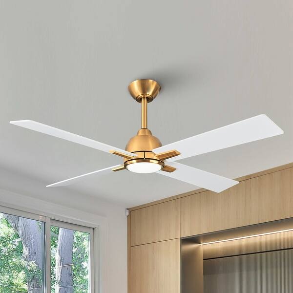 48-inch Modern White 4-Blade Gold Dimmable LED Ceiling Fan with Light ...