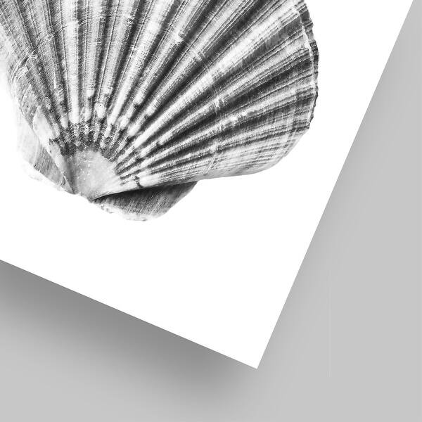 Americanflat - Sea Shell by Sisi And Seb - 16"x20" Poster Art Print ...