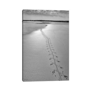 iCanvas "Iguana Art" by Graham Earnshaw Canvas Print - Bed Bath ...