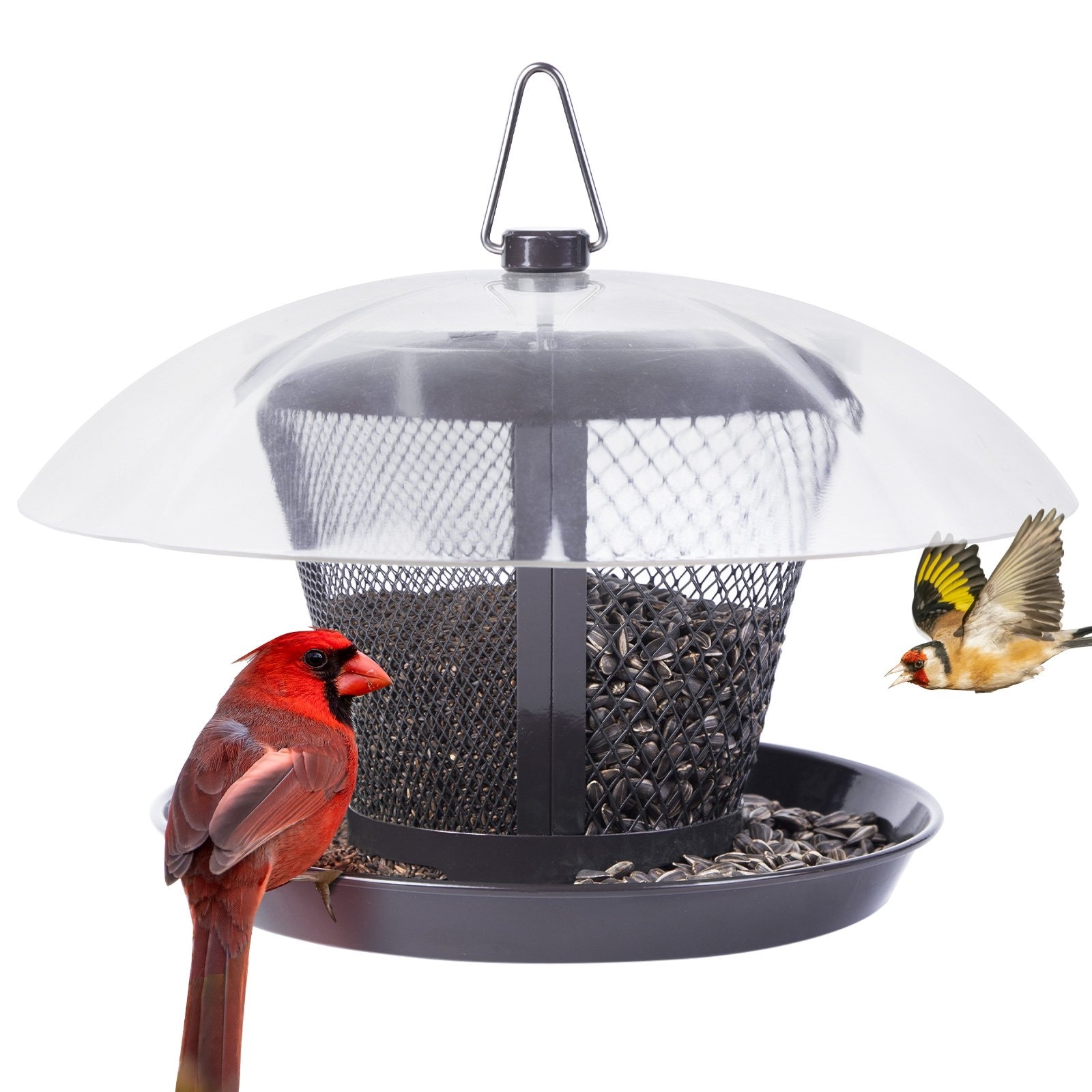 Wall mounted bird feeder - Bed Bath & Beyond - 37533152