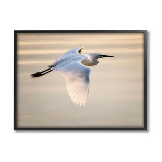Stupell Egret Gliding Aerial View Framed Giclee Art by David Lorenz - Bed Bath & Beyond - 37228502