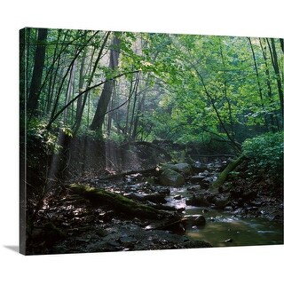 "Sunbeams through trees, rocky stream in Boneyard Hollow, Dolliver ...