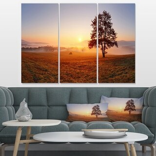 Designart "Lonely Tree at Sunset" Landscape Photography Canvas Art ...