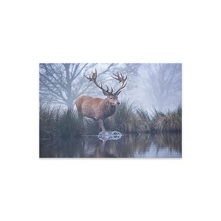 Entering The Stream Print On Acrylic Glass by Max Ellis - Bed Bath ...