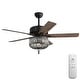 52" Ceiling Fan with Crystal Shade, Remote, 6-Speed and Dual Downrods ...