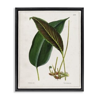 Stupell Leaf and its Underside Study Framed Floater Canvas Wall Art ...