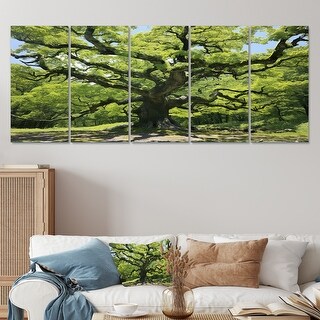 Designart "Majestic Sycamore Tree Photo" Green Tree Sycamore Set Of 5 ...