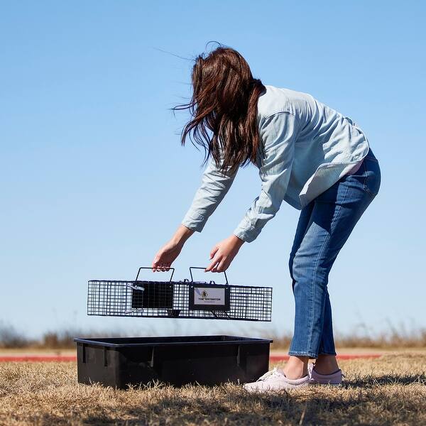 Rugged Ranch Ratinator Rat Squirrel Chipmunk Metal 2 Door Trap Cage (4 ...