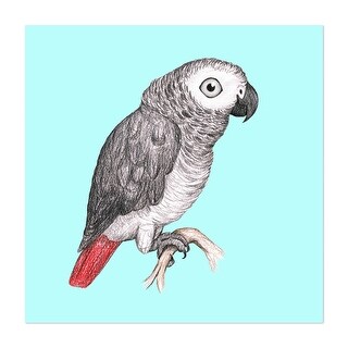 Cute African grey parrot Drawing Animals Bird Birds Art Print/Poster ...