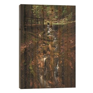 Iargo Springs Cascade Print On Wood by Christopher Thomas - Multi-Color - Bed Bath & Beyond ...