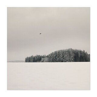 WinterScape Photography Black White Forest Landscape Art Print/Poster ...