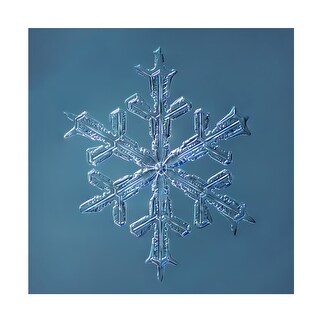 Print Collection 'Stellar Dendrite Snowflake 1' Canvas Art - Bed Bath ...
