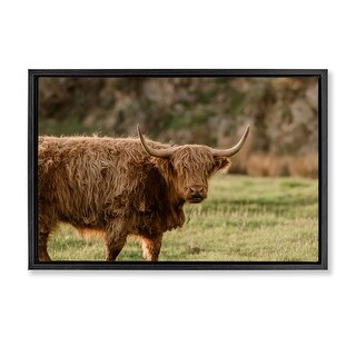 Stupell Scottish Highland Grazing Framed Floater Canvas Wall Art Design ...