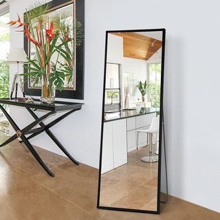 59" x 19.7" Full Length Floor Mirror - Bed Bath & Beyond - 38971385