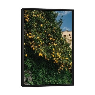 iCanvas "Amalfi Coast Lemons II" by Bethany Young Framed - Bed Bath ...