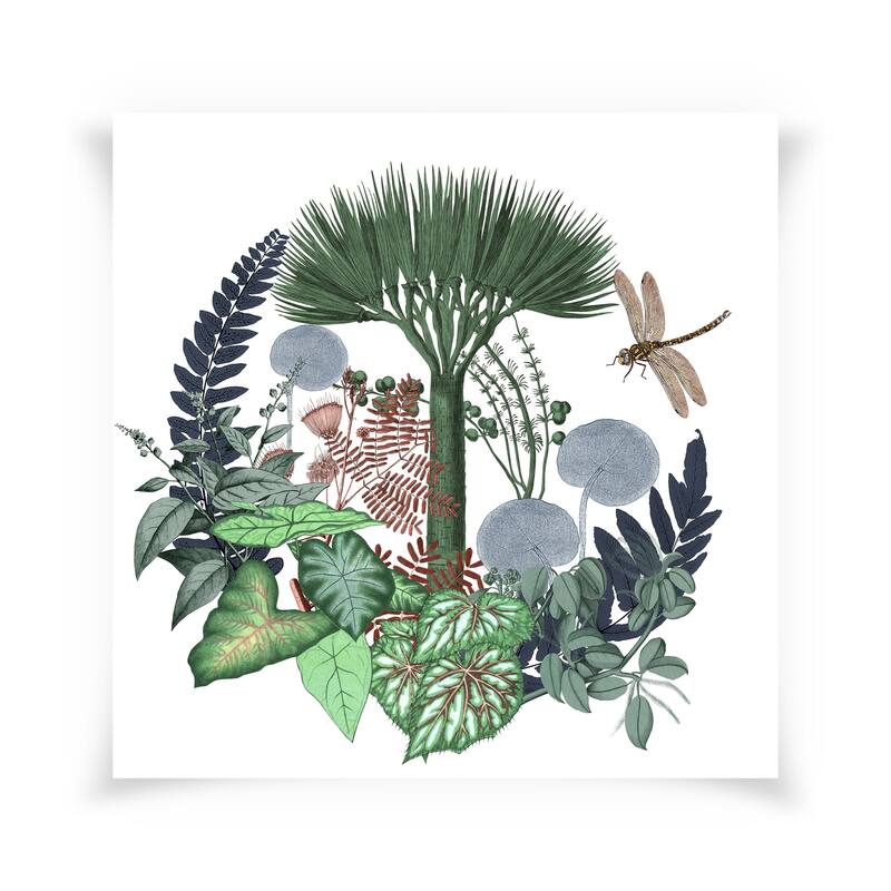 Nature Creative - Nature Circles 6 - Unframed Wall Art - Multi ...