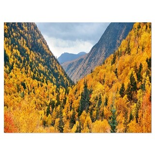 Yellow Autumn Foliage Over Hills - Landscape Glossy Metal Wall Art ...