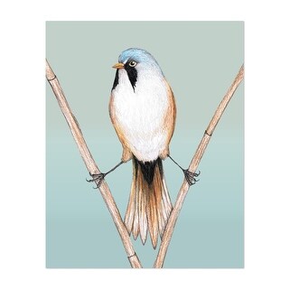 Bearded reedling pencil drawing Illustrations Bird Art Print/Poster ...