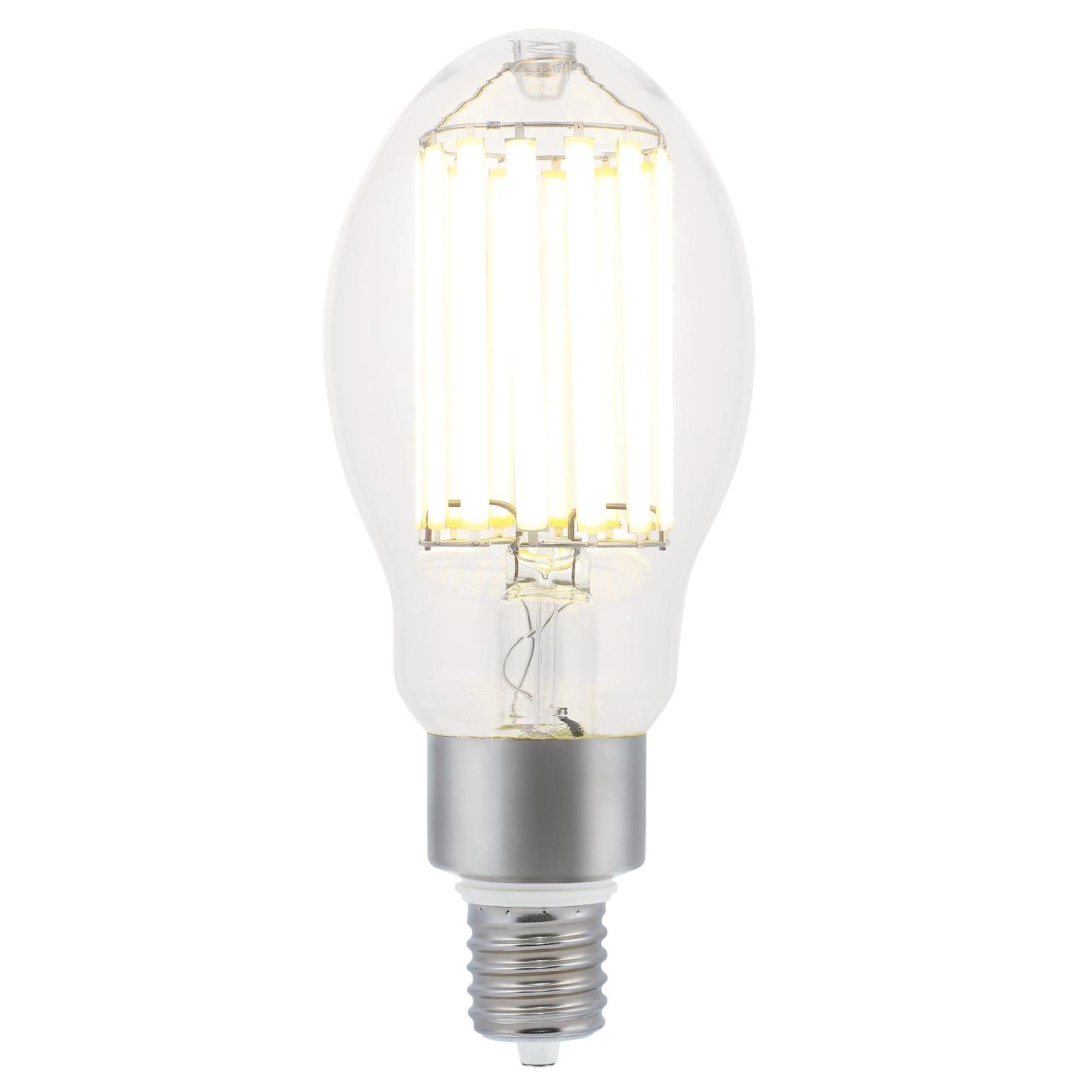 Bright White 4000K - 5000K, 60 to 100 Watts Light Bulbs - Bed Bath & Beyond