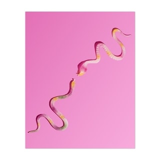 Snakes Saluting Photography Animals Humor Art Print/Poster - Bed Bath ...