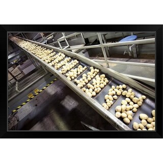 "Potatoes being processed on potato farm" Black Framed Print - Bed Bath ...