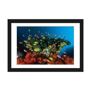 iCanvas "Reef Scene With Anthias Fish, Cebu, Philippines" by Bruce ...