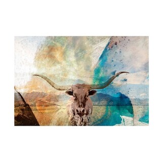 Sisa Jasper 'Longhorn' Canvas Art - Bed Bath & Beyond - 39536659