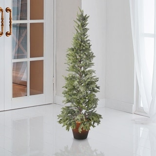 36" Potted Frosted Mini Spruce Tree - Bed Bath & Beyond - 36631332