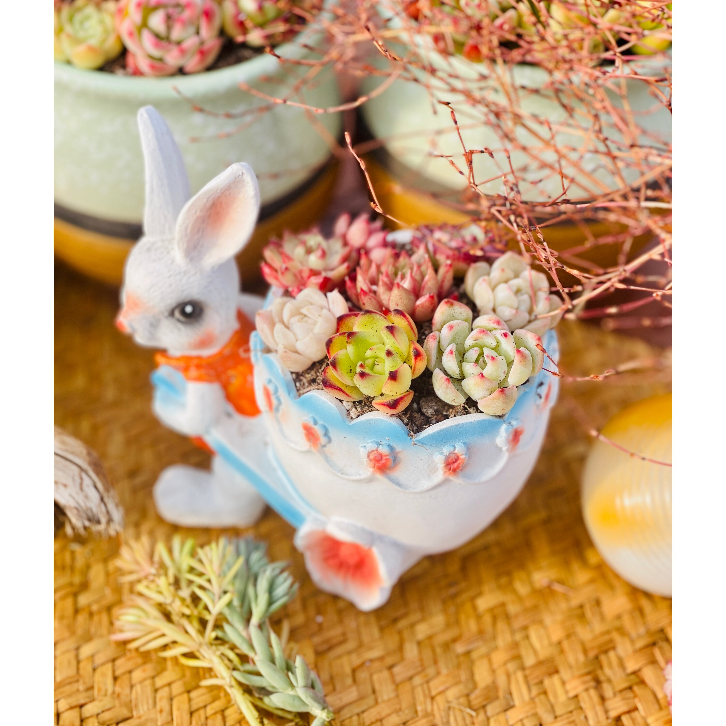Artificial Succulents - Bed Bath & Beyond