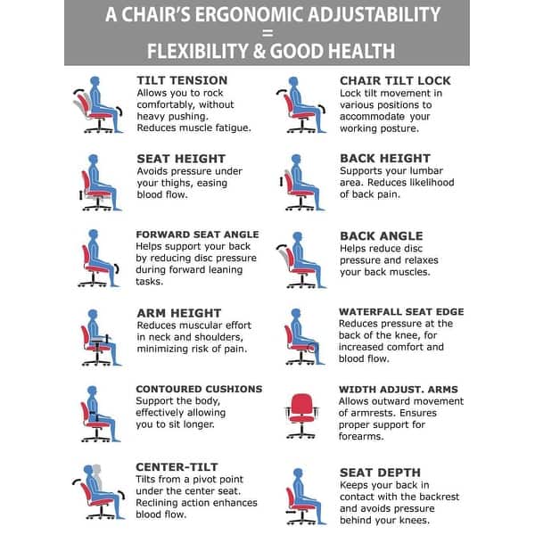 Malaga Low Back Ergonomics Chair - Bed Bath & Beyond - 27298712