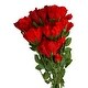 A bundle of 6 long stem roses and rose buds - Bed Bath & Beyond - 31879887