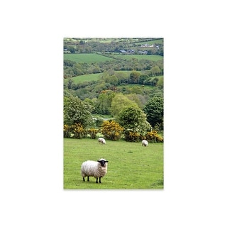 Countryside Landscape, Dingle Peninsula, County Kerry, Republic Of ...