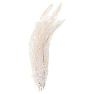 10-12 Inch Rooster Feathers, 50 Pack Bulk Natural Feathers Style 1 - 10 ...