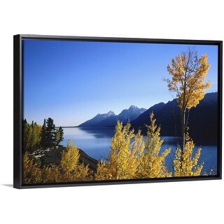 "Yellow autumn leaves of Aspen trees with lake and mountains beyond ...