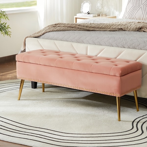 Neptunus Modern 45.5" W Velvet Bedroom Storage Bench for End of Bed ...