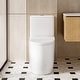 One Piece Toilet with Powerful Flush, Compact Toilet Elongated & ADA ...