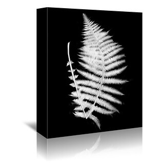 Americanflat - 8" x 10" Swirl Fern Ii by Chaos & Wonder Design Wrapped ...