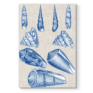 Navy & Linen Shells VI-Premium Gallery Wrapped Canvas - Bed Bath ...