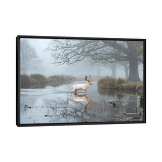 iCanvas "White Buck Stream" by Max Ellis Framed Canvas Print - Bed Bath ...