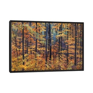 iCanvas "Elms III" by John Hancock Framed - Bed Bath & Beyond - 37197635
