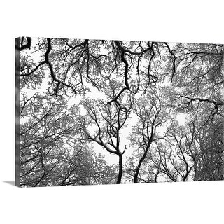 "Snow covered treetops, London." Canvas Wall Art - Bed Bath & Beyond ...