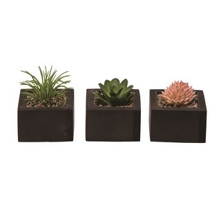 Transpac Square Faux Succulent in Container Set of 3 Spring Home ...