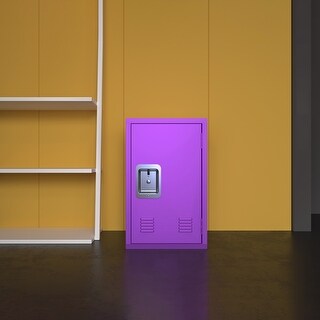 24"H Small Metal Locker,Lockable Storage Cabinet with 1 Doors - Bed ...
