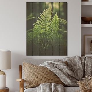 Designart "Wonderland Ferns In Green World X" Ferns Wood Wall Decor ...
