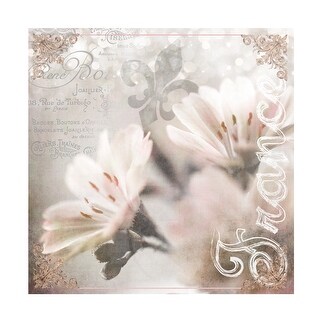 Leslie Montgomery 'Garden Bike Back End' Canvas Art - Bed Bath & Beyond - 39543402